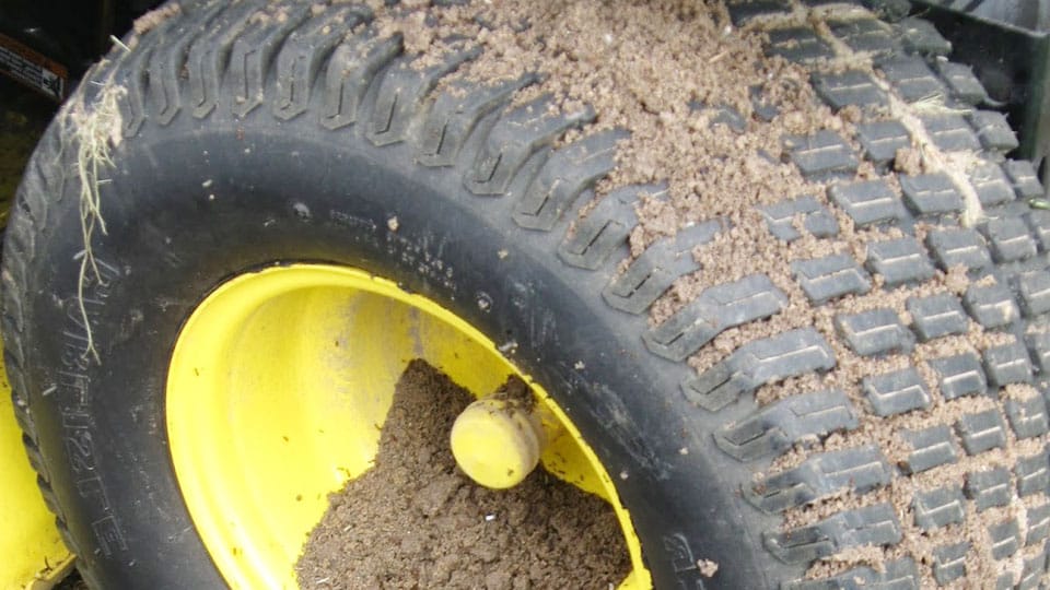 Are Wheel Ants a Real Thing?